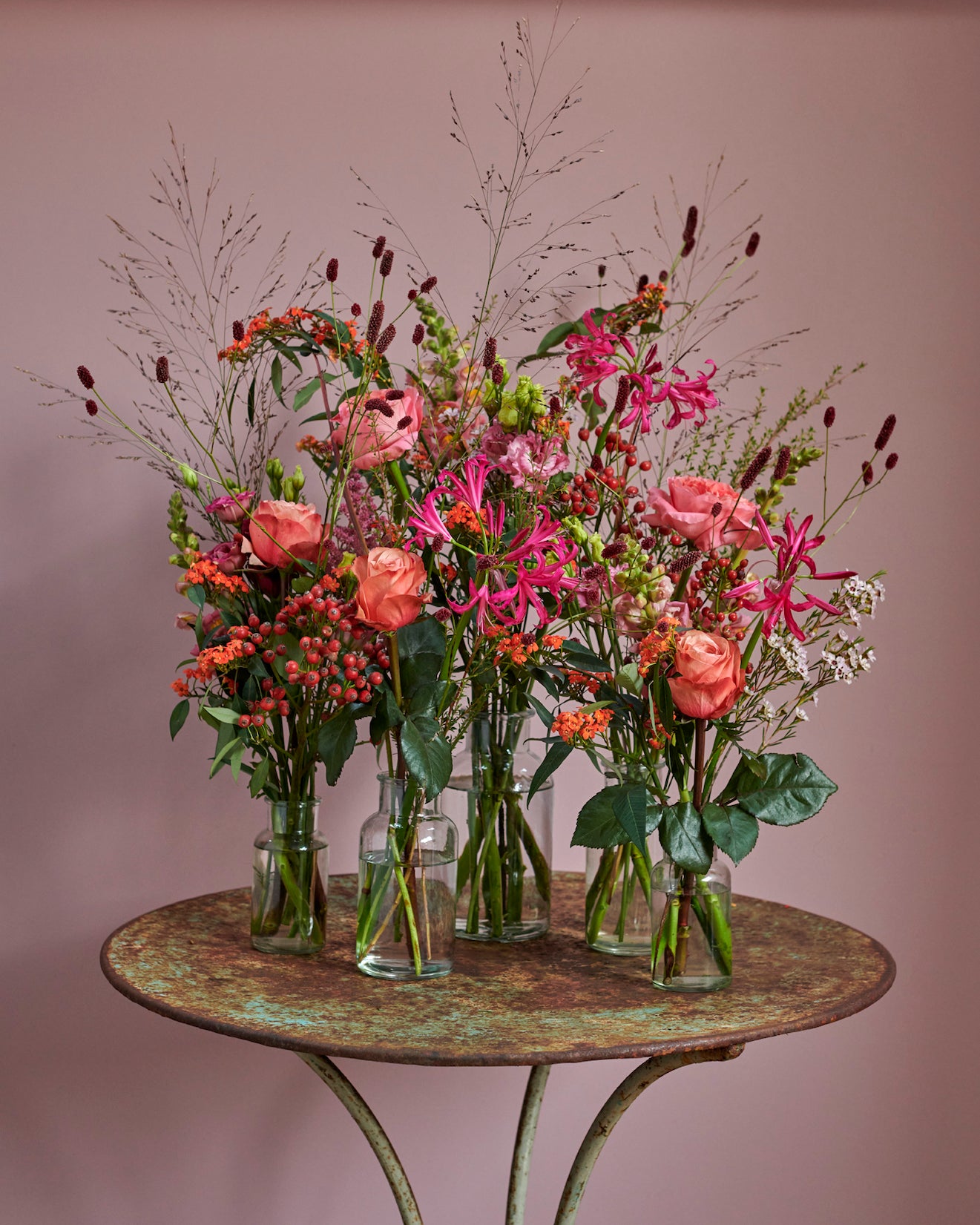 Mabel – Scarlet & Violet